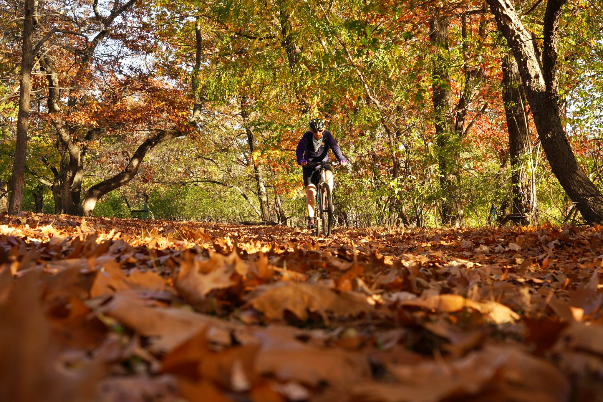 Top 8 Wellness Challenges for the Fall Season